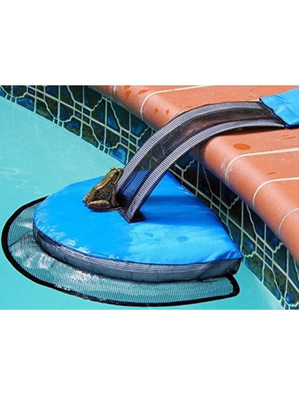 FROGLOG CRITTER SAVING ESCAPE RAMP